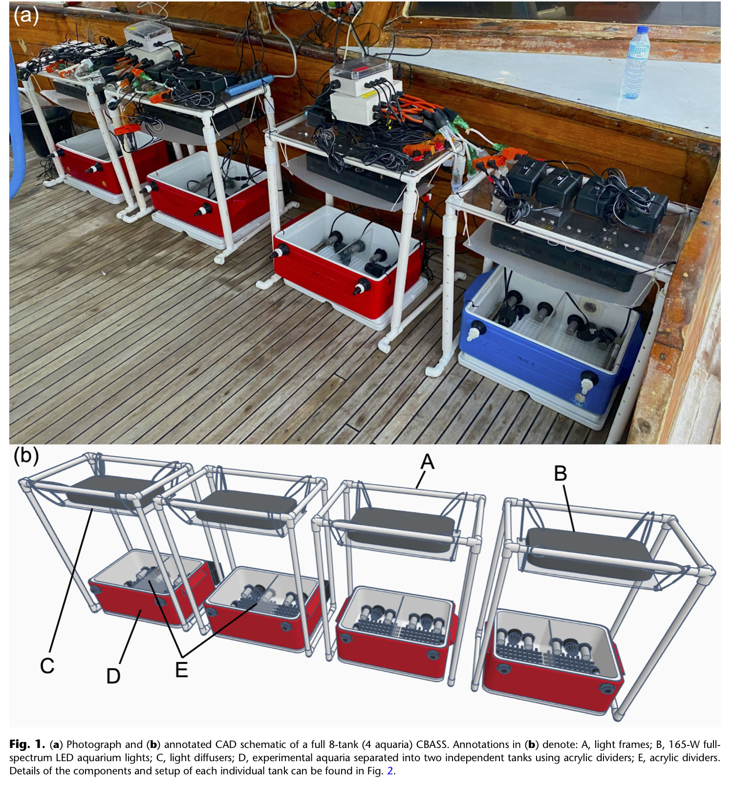 The Coral Bleaching Automated Stress System (CBASS) – Erica Lauer Vose